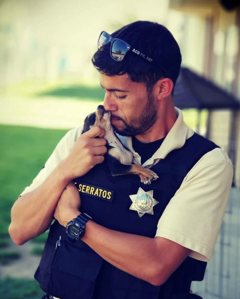 Services Provided (by city) - Ventura County Animal Services