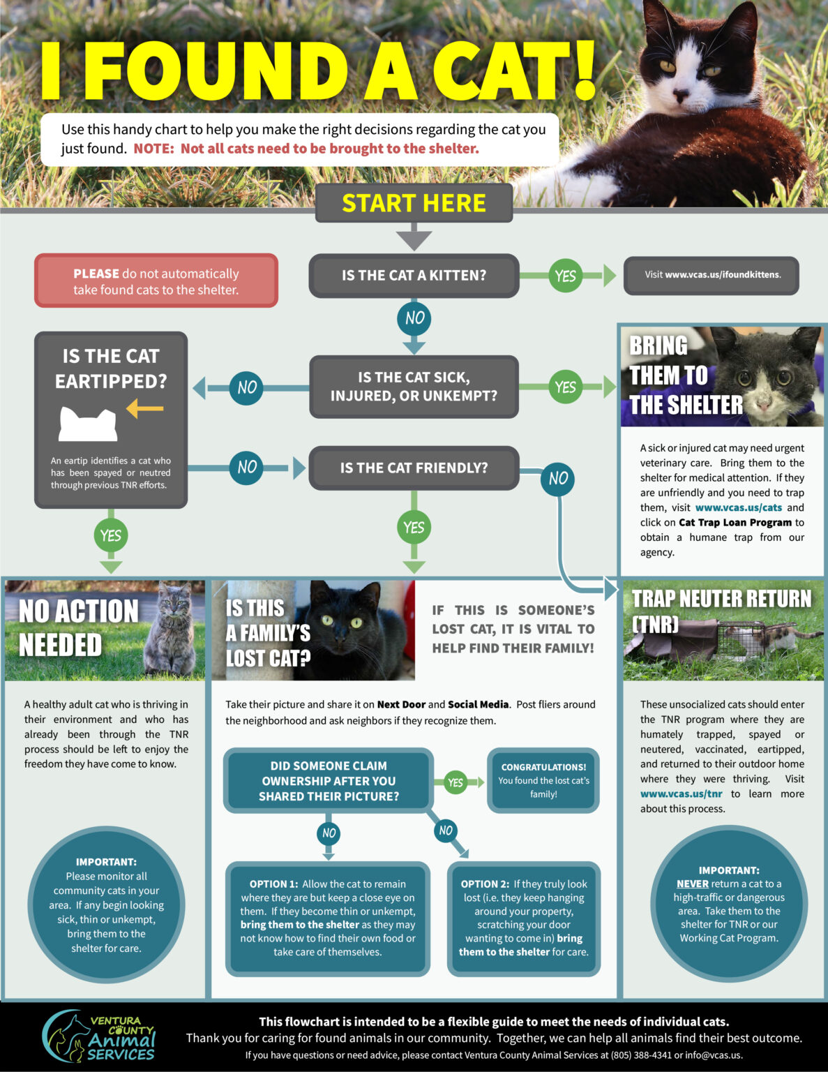 Cat Programs - Ventura County Animal Services